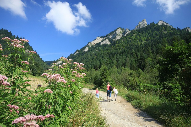 Parco Nazionale Pieniny: attività all'aria aperta da Cracovia